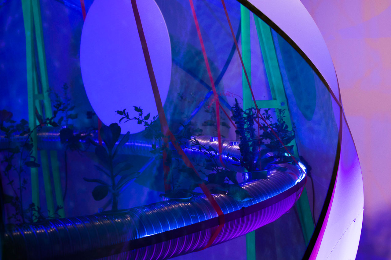 Cyrus Clarke — Data Garden